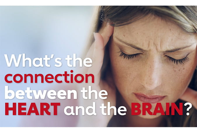 The heart-brain link: what you need to know | American Stroke ...