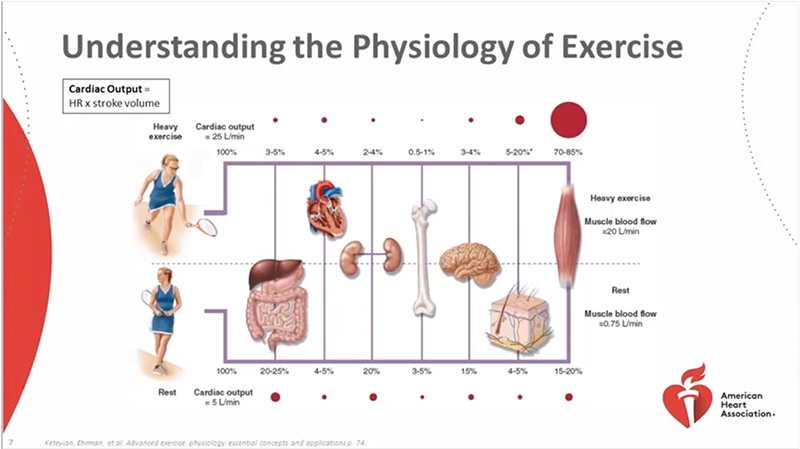 Peripheral Artery Disease Webinar Series | American Stroke Association