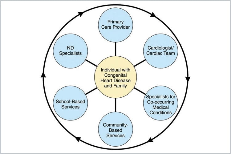 Neurodevelopmental Outcomes for Individuals With Congenital Heart ...